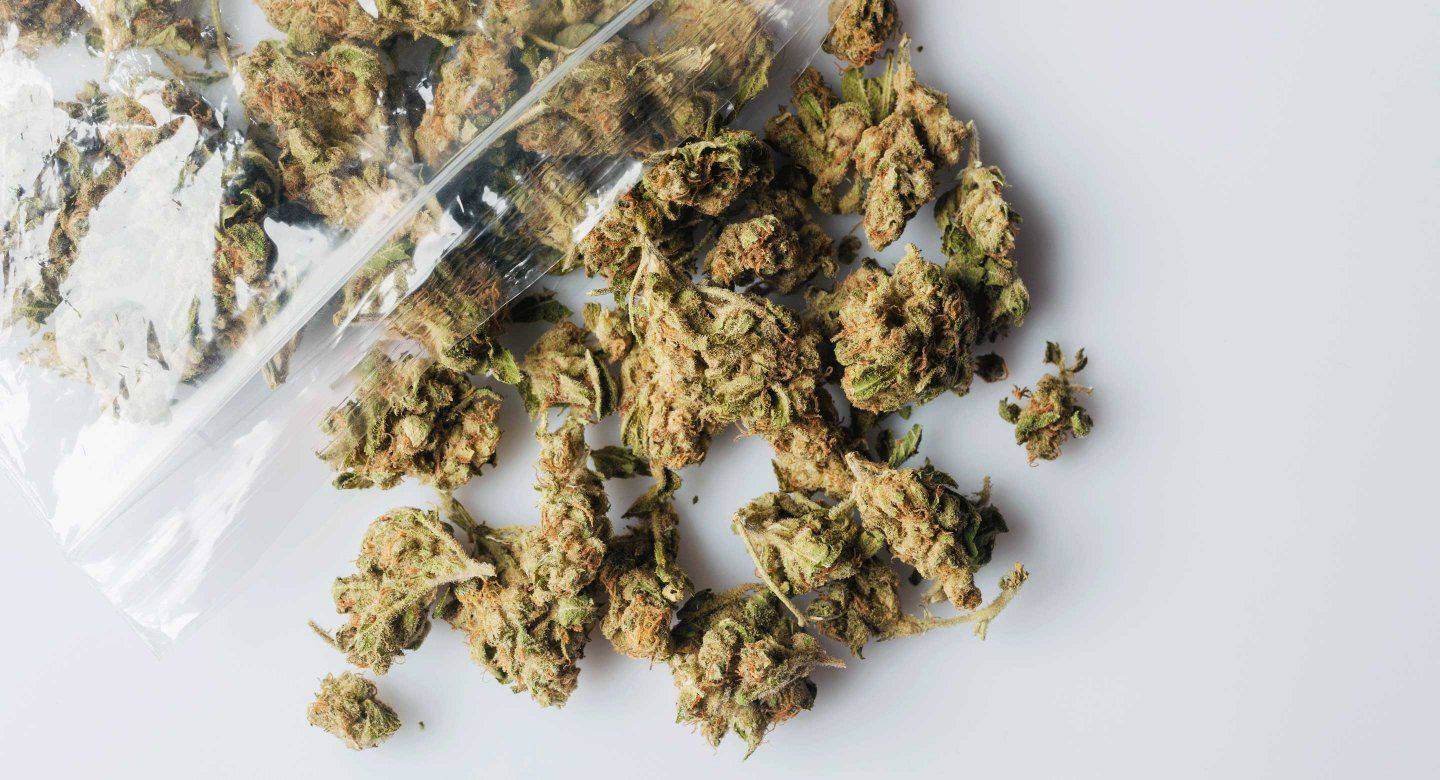 Thirty-three kilograms of cannabis found hidden between tombs in Orange ...