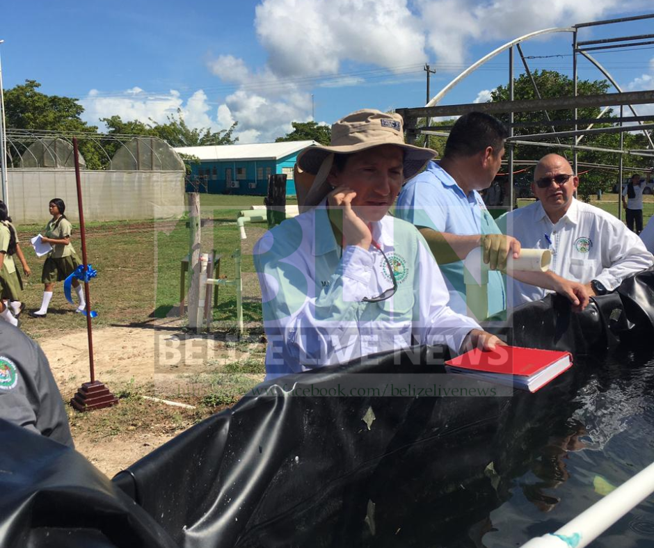 Ministry of Investment launches tilapia tanks at Chunox St. Viator High ...