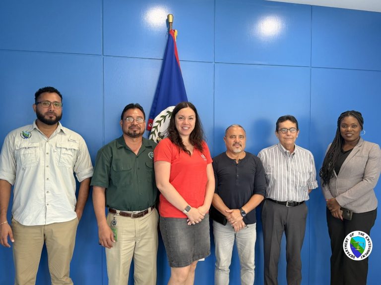 Belize developing national strategy for radioactive source management
